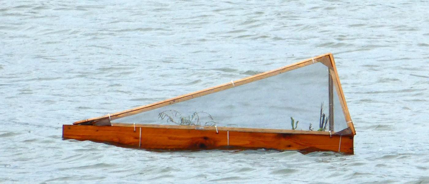 Unidentified Floating Object